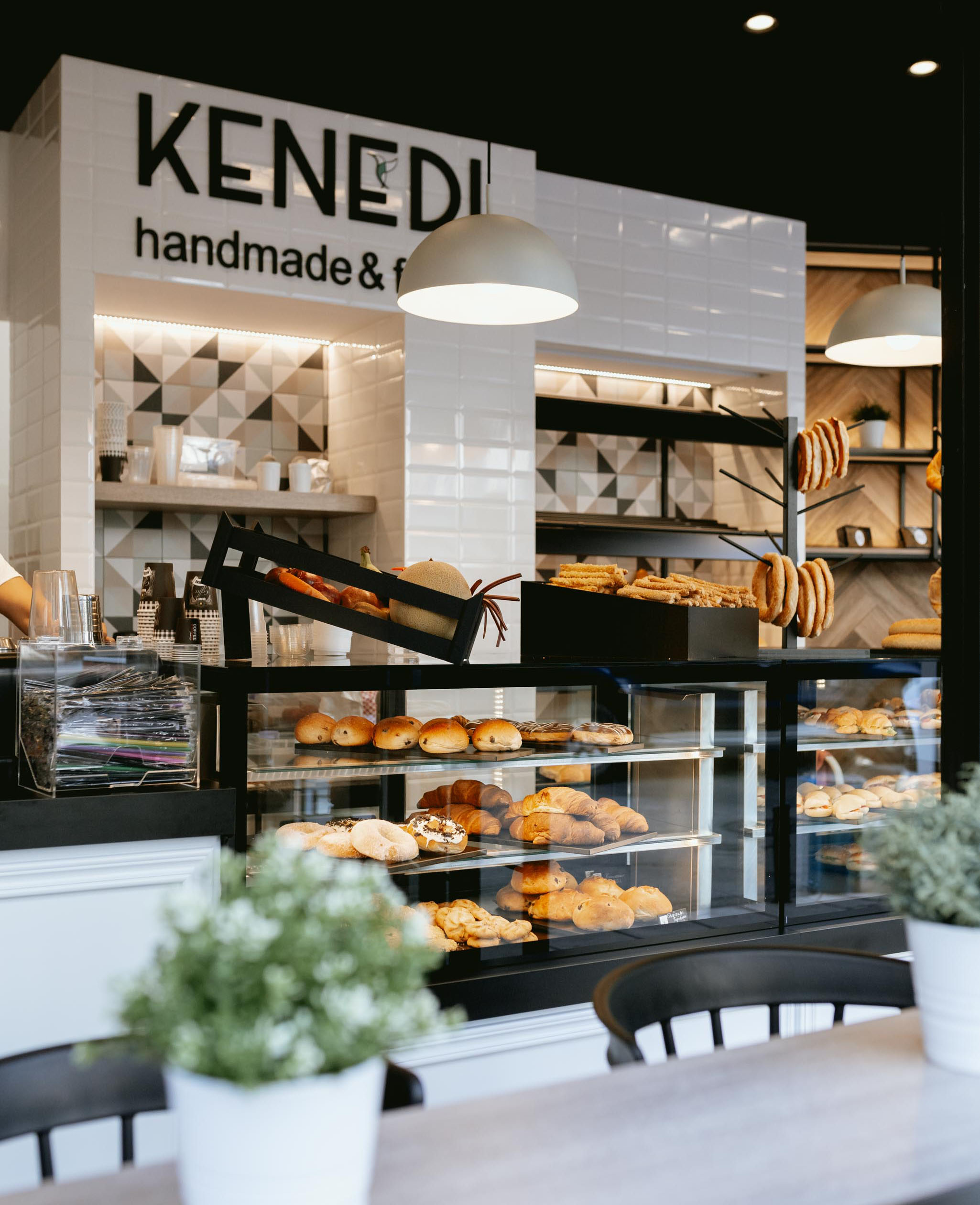 Αρχική - Kenedi